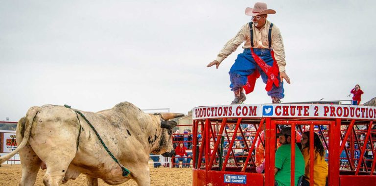 Clownin’ Around at the Rodeo – In & Around